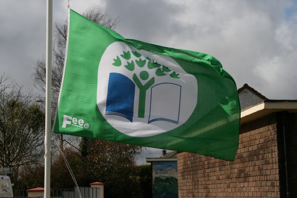 35 Wexford schools awarded Green Flag – WexfordLocal.com