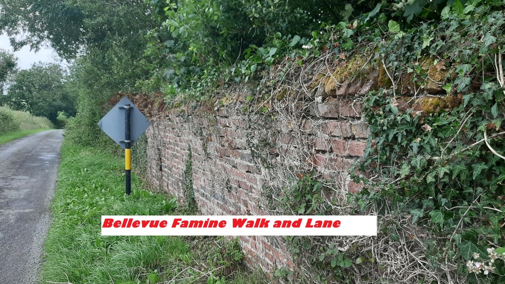 Save the Ballyhogue Famine Wall – WexfordLocal.com