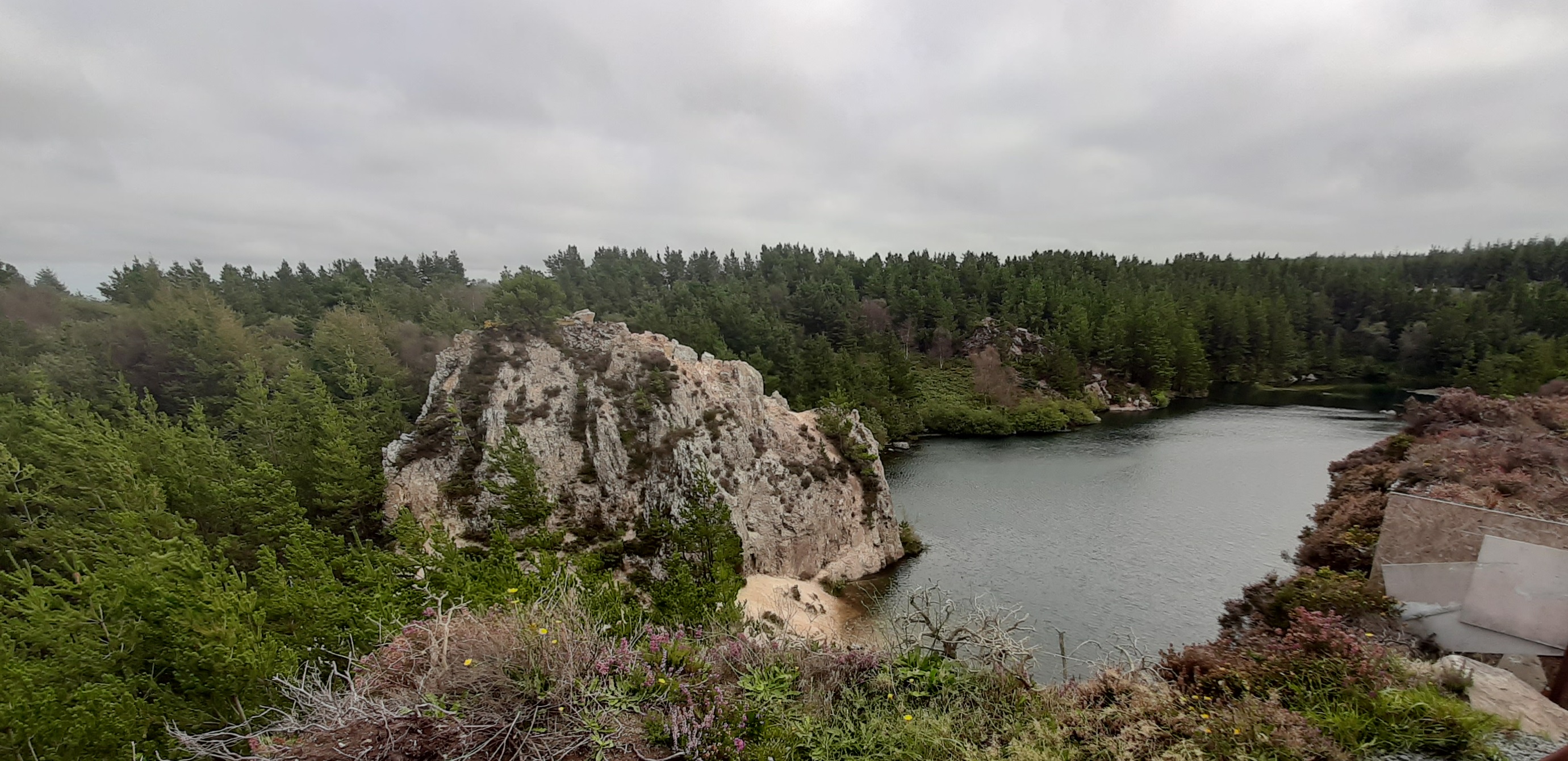 Carrigfoyle Activity Centre is progressing – WexfordLocal.com