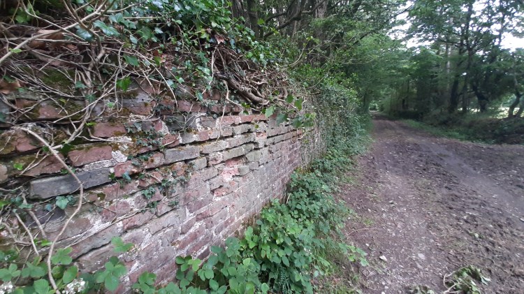 Ballyhogue Famine Wall receives protection – WexfordLocal.com
