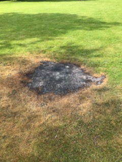 Sparks in Gorey Town Park – WexfordLocal.com