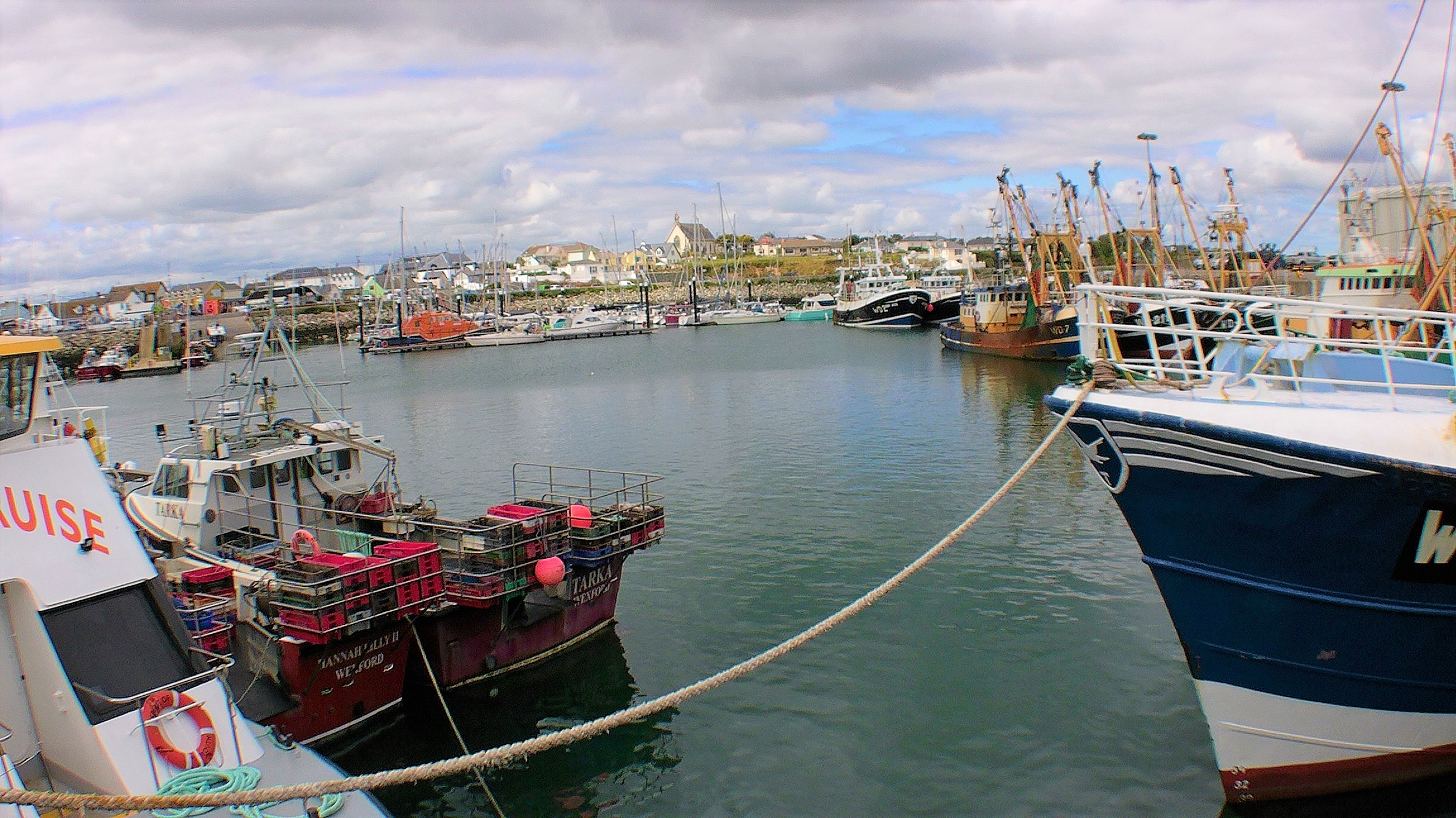 Kilmore Quay Seafood Festival – WexfordLocal.com