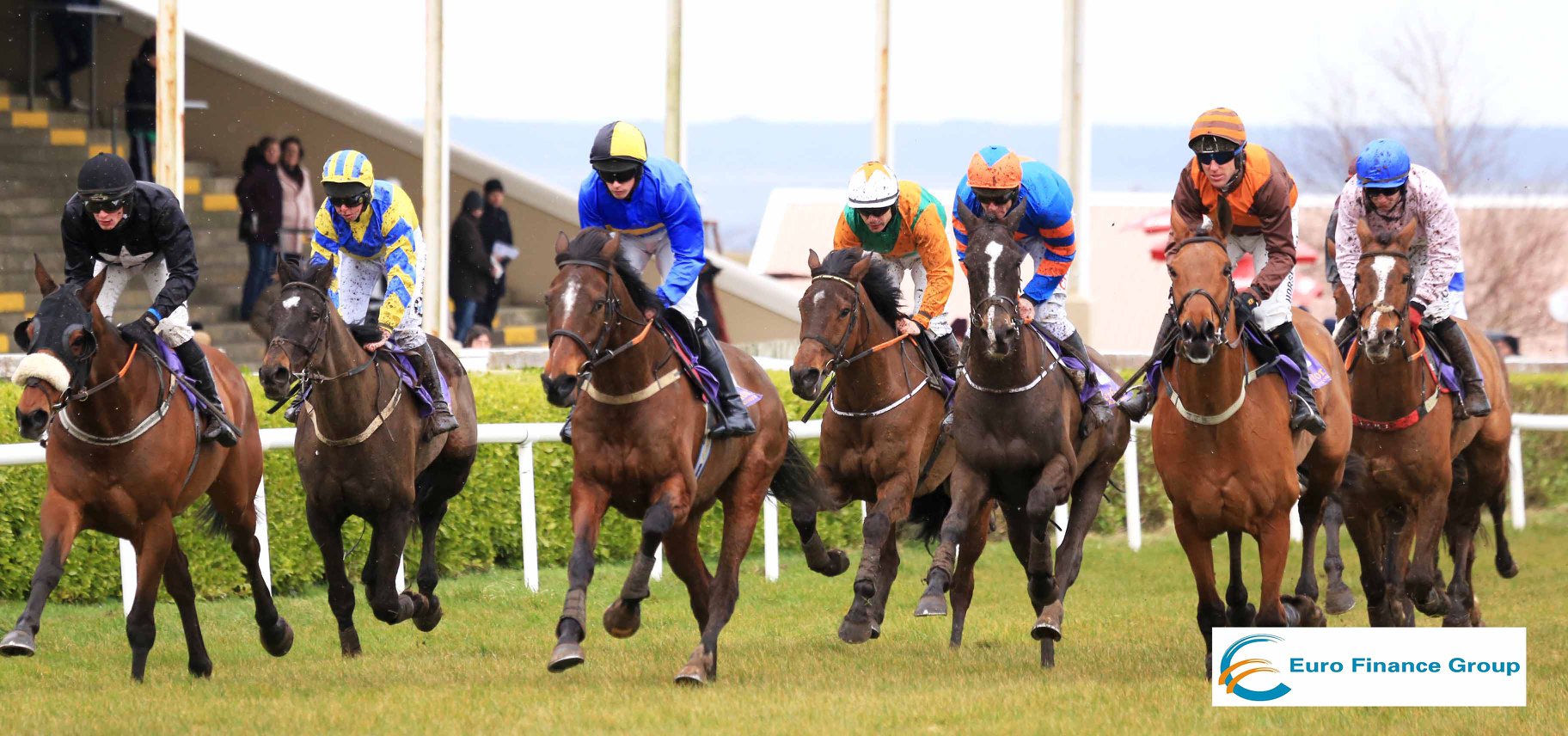 Wednesday racing at Wexford – WexfordLocal.com