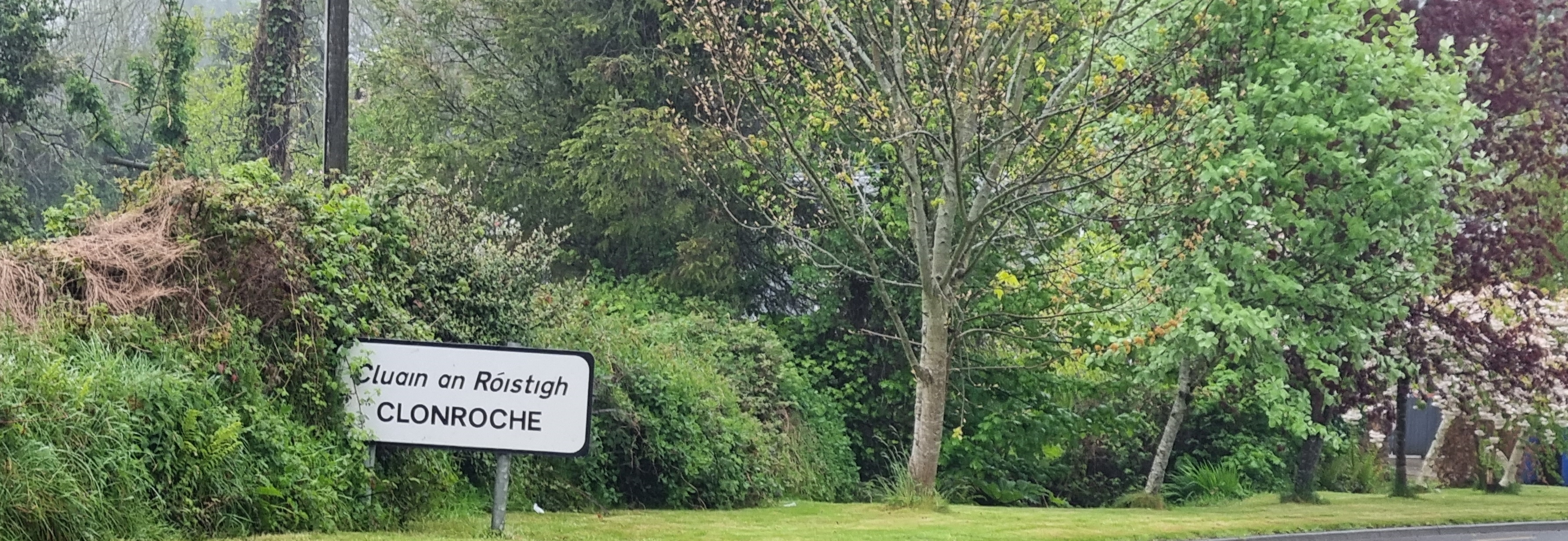 Issues with Clonroche drinking water – WexfordLocal.com