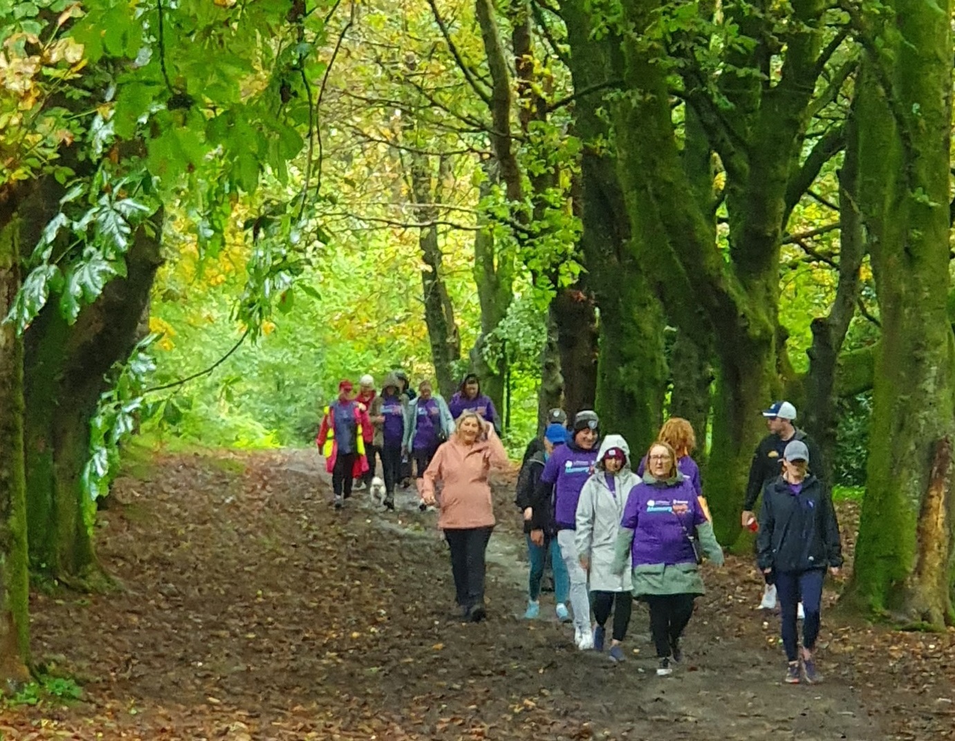 Rain fails to dampen Courtown Woods walk – WexfordLocal.com
