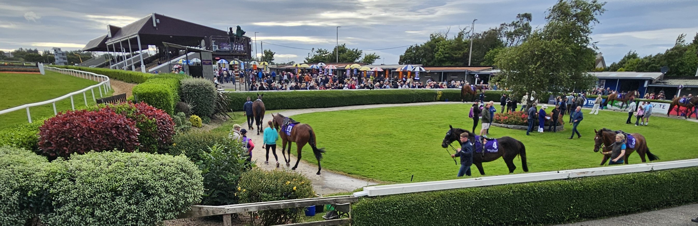 8 Friday races at Wexford Racecourse – WexfordLocal.com