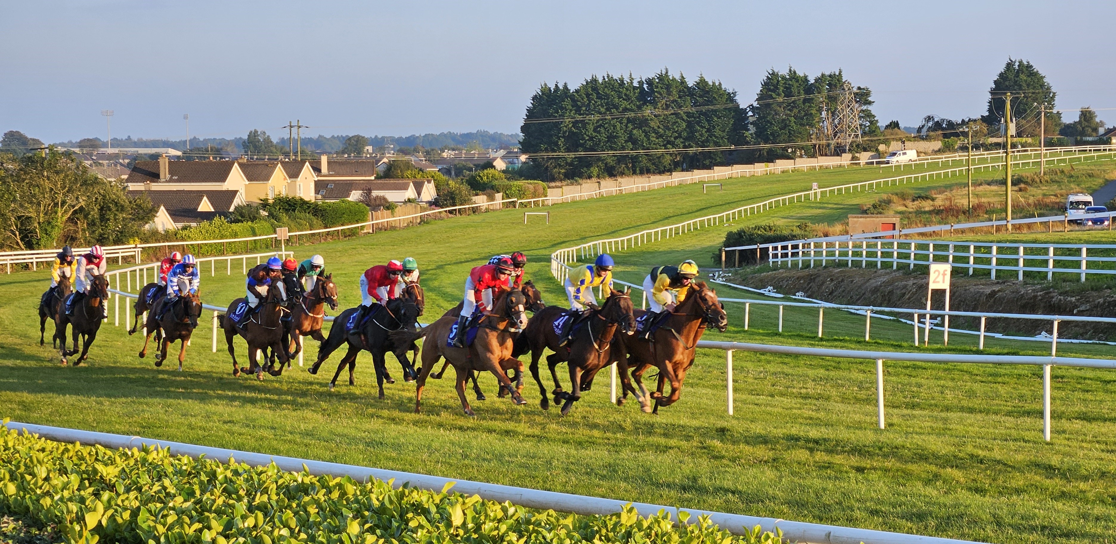 WexfordLocal.com – News and Sport and Events that matter across County ...