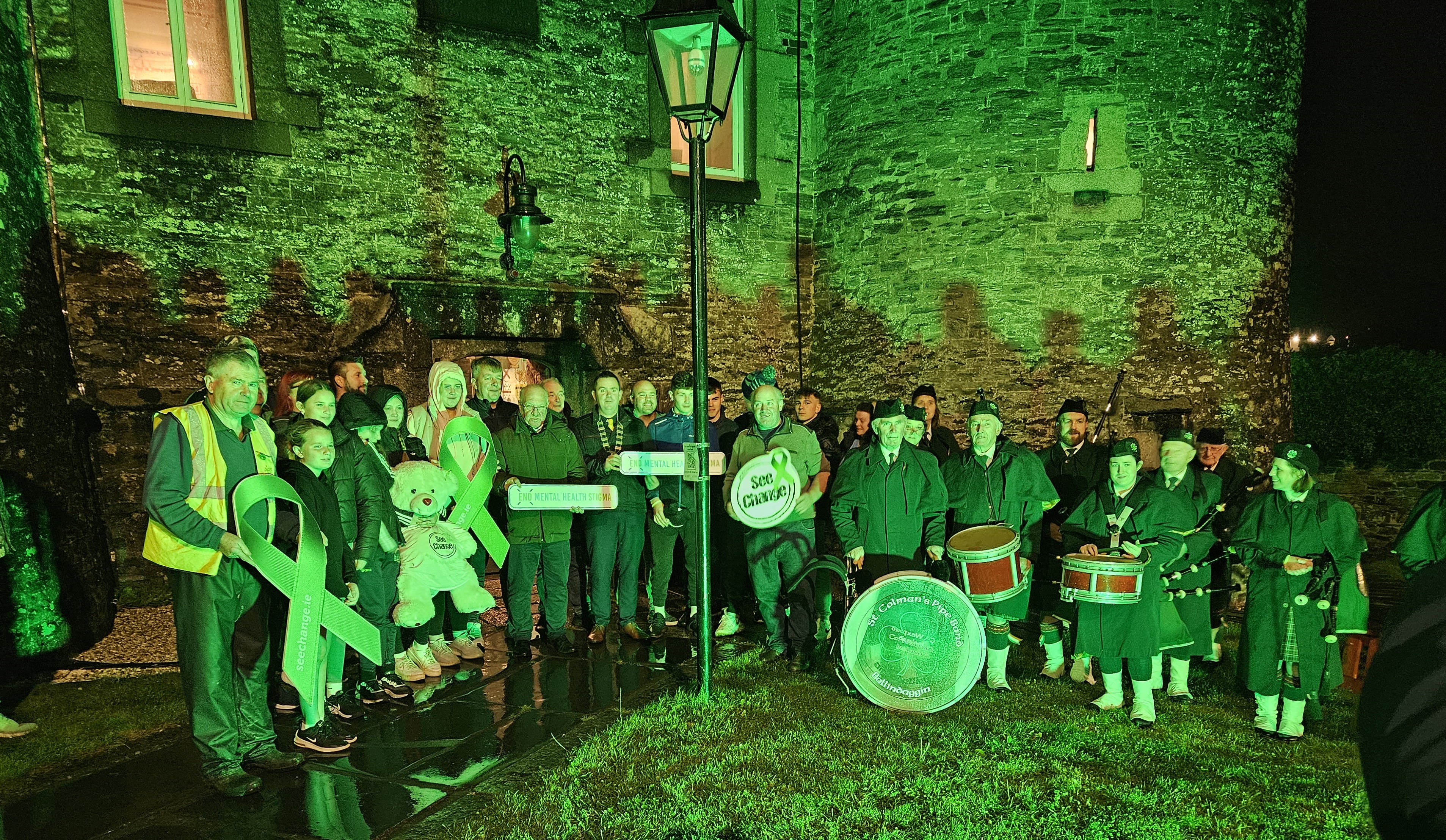 The greening of Enniscorthy Castle – WexfordLocal.com