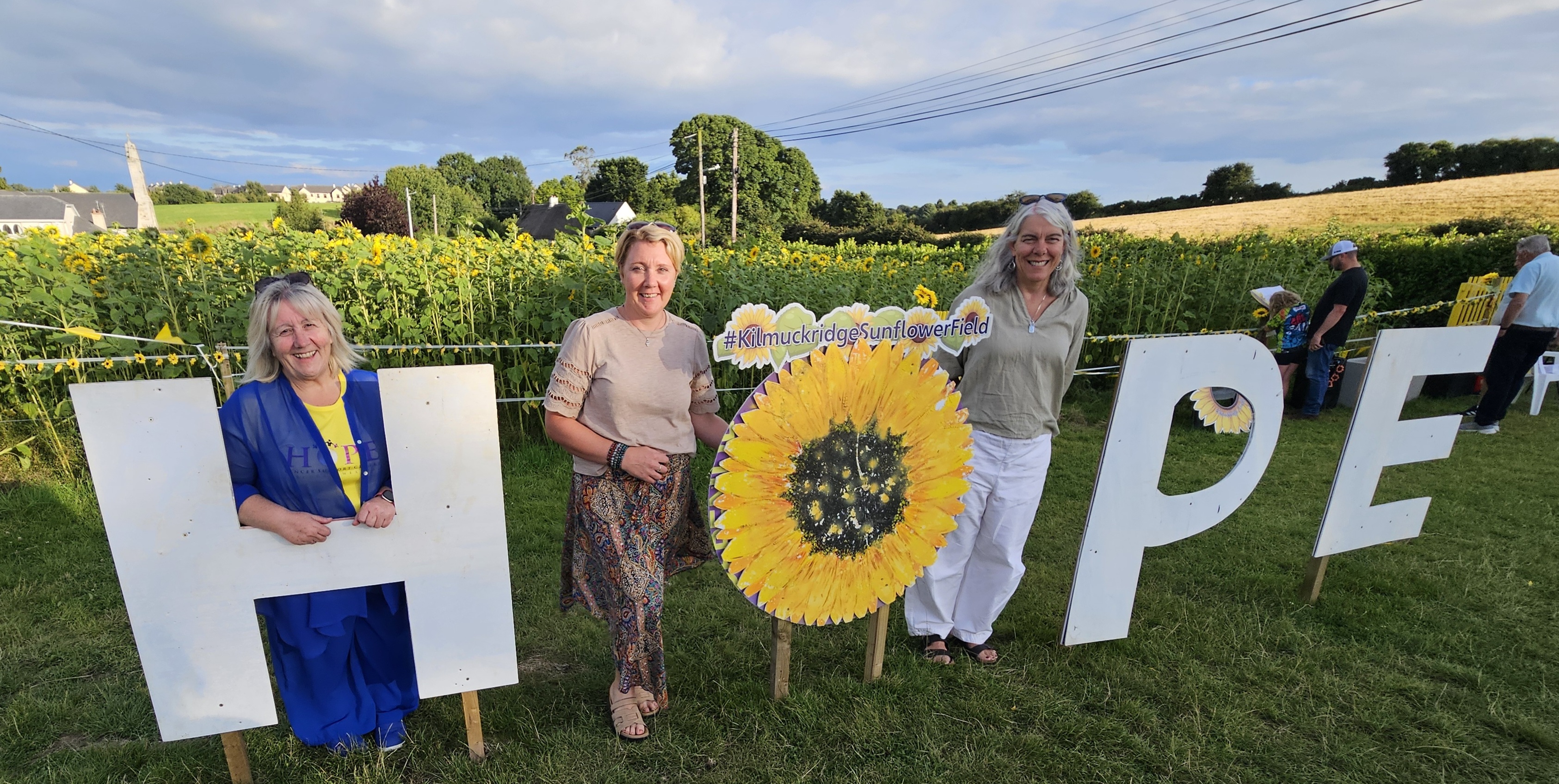 Kilmuckridge Sunflower Field now open. – WexfordLocal.com