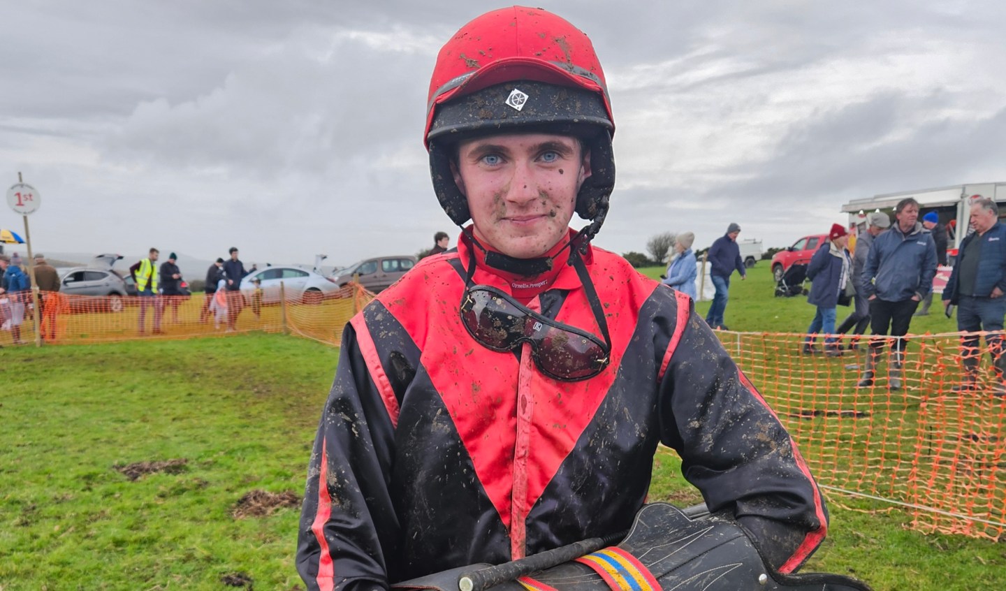Families triumph at New Ross races – WexfordLocal.com